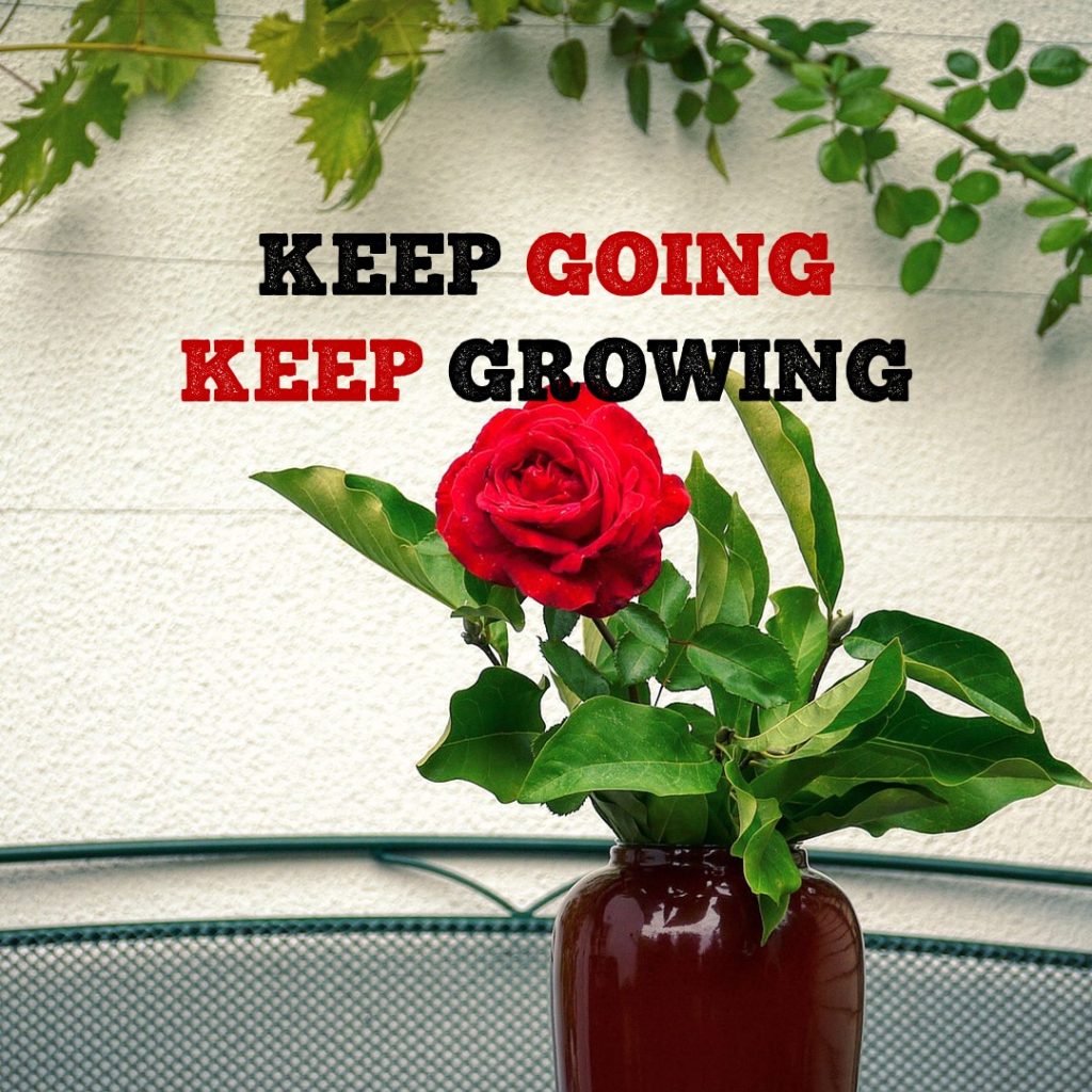 SERSEA.com – Learn American English