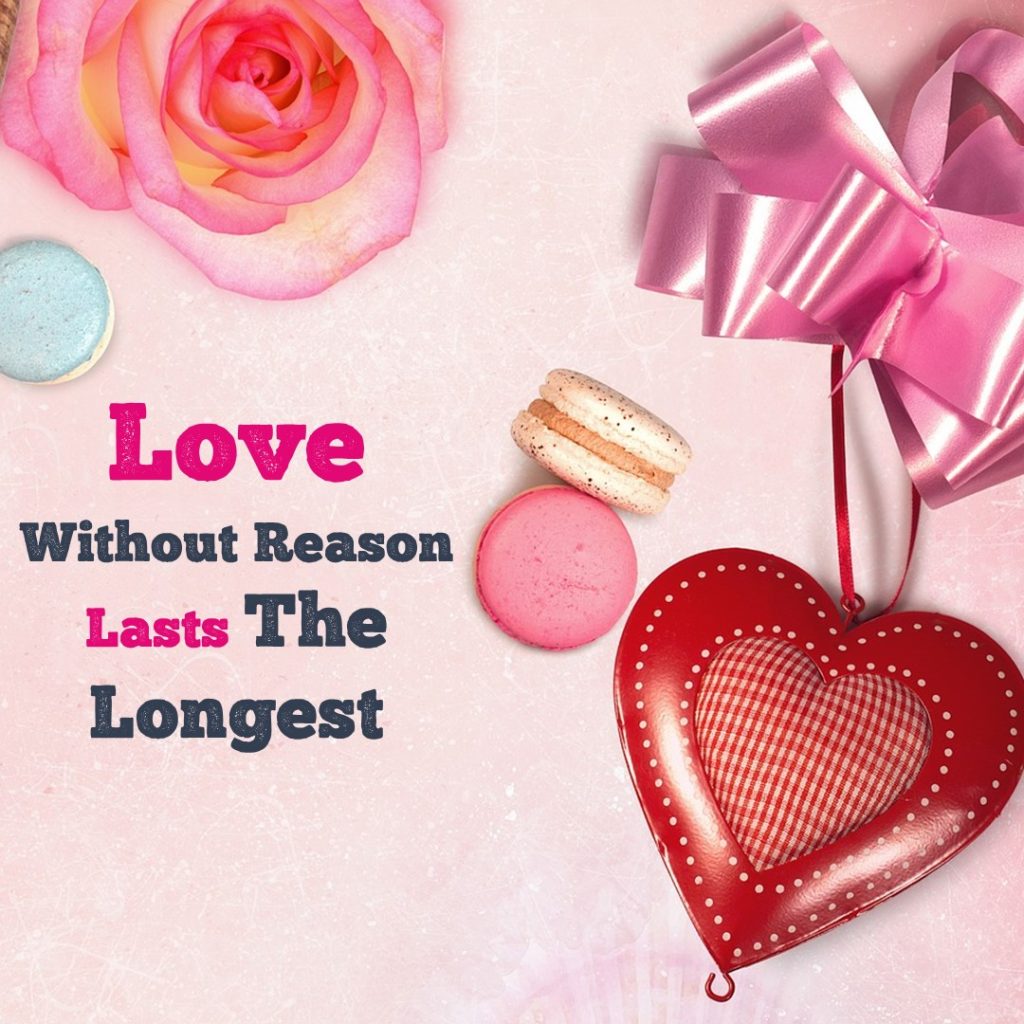 SERSEA.com – Learn American English